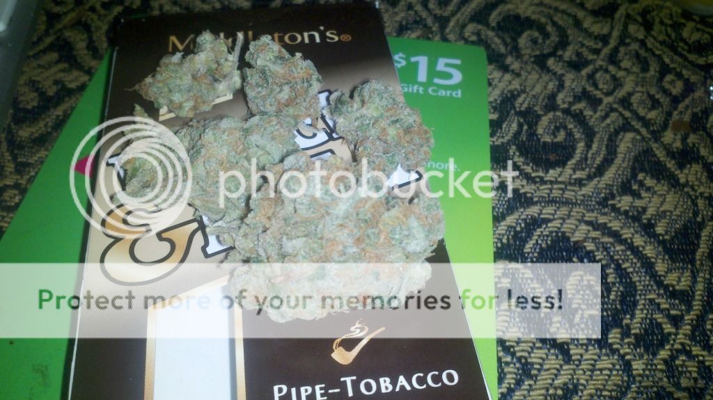 Cali Sweet Haze (DANK) | Grasscity Forums - The #1 Marijuana Community ...